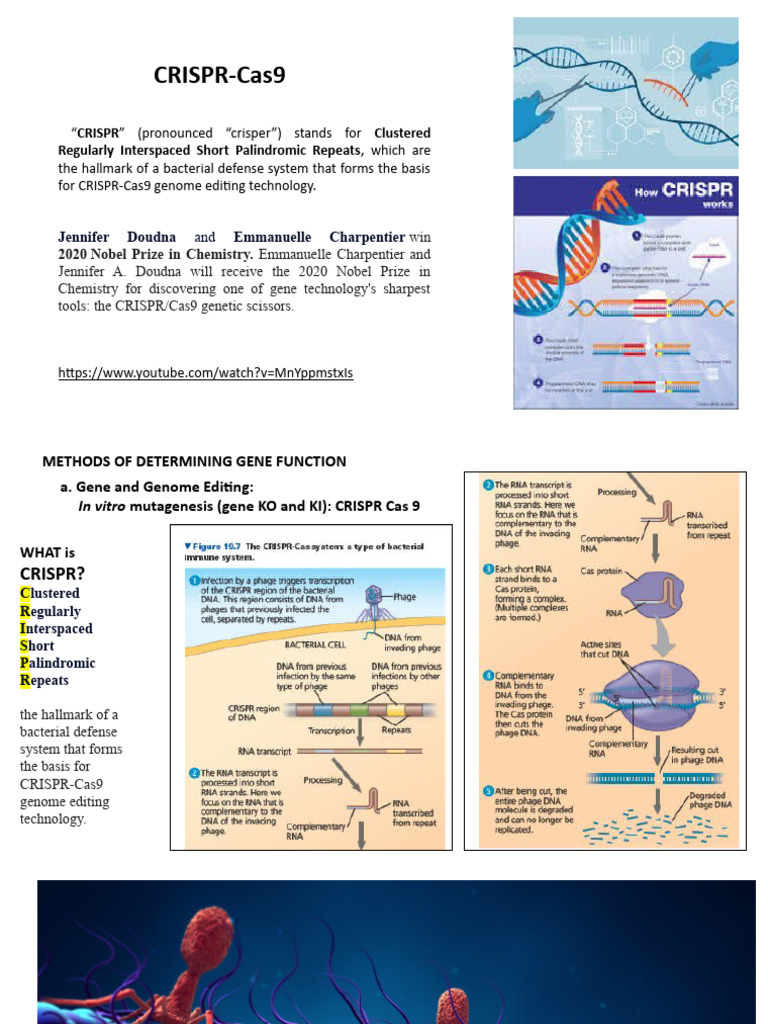 CRISPR Cas9 | PDF | Crispr | Gene