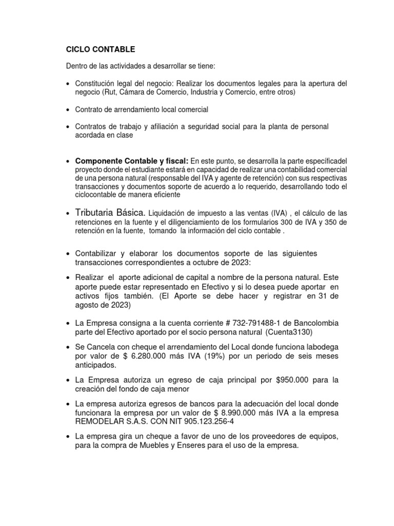 Ciclo Contable | PDF | Contabilidad | Business