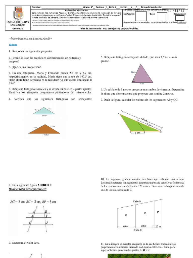Taller de Geometría Semejanza, Proporciones y T de Tales. | PDF | Triángulo | Euclides