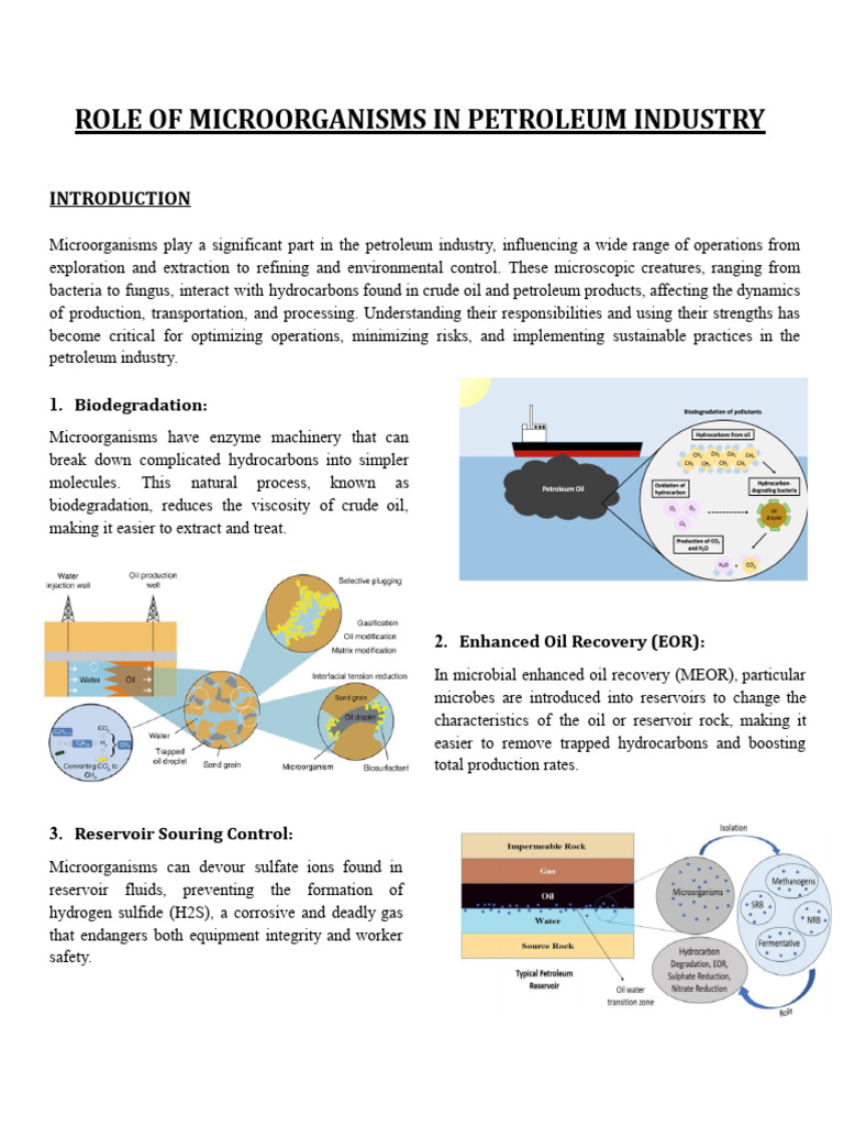 ROLE OF MICROORGANISMS IN PETROLEUM INDUSTRY | PDF | Petroleum | Oil ...