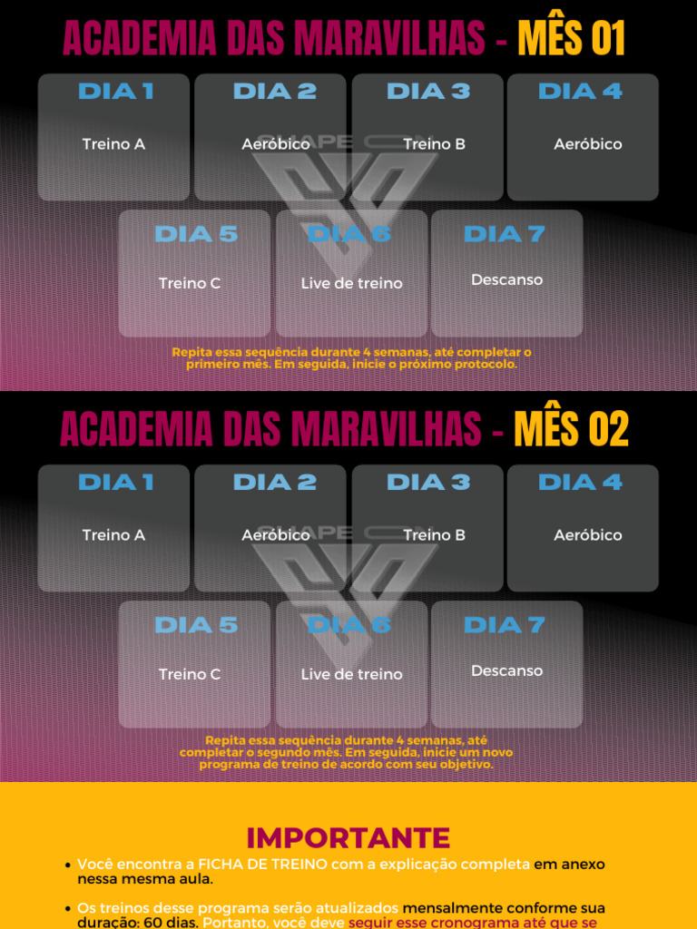 Cronograma de Treino - Academia Das Maravilhas | PDF