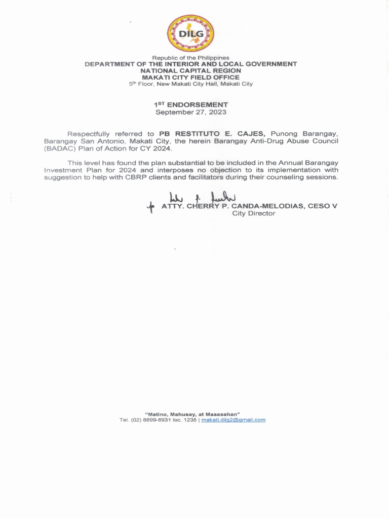 Badac Action Plan Cy 2024 | PDF