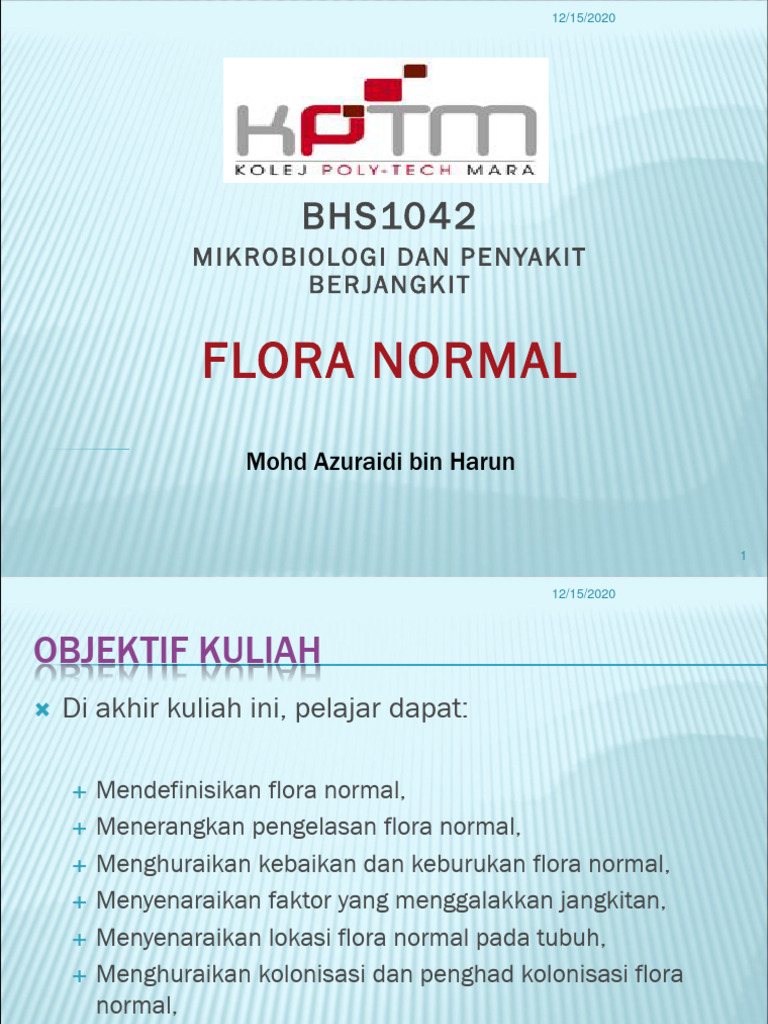 06 Flora Normal | PDF