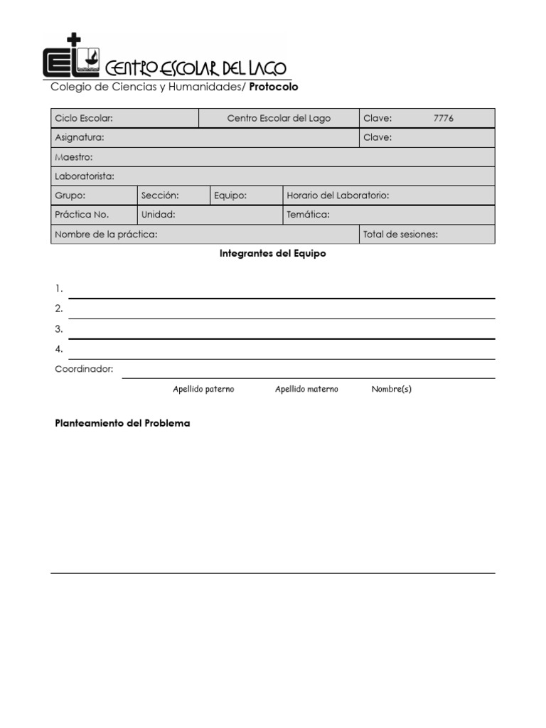 Formato Del Protocolo 2024 | PDF