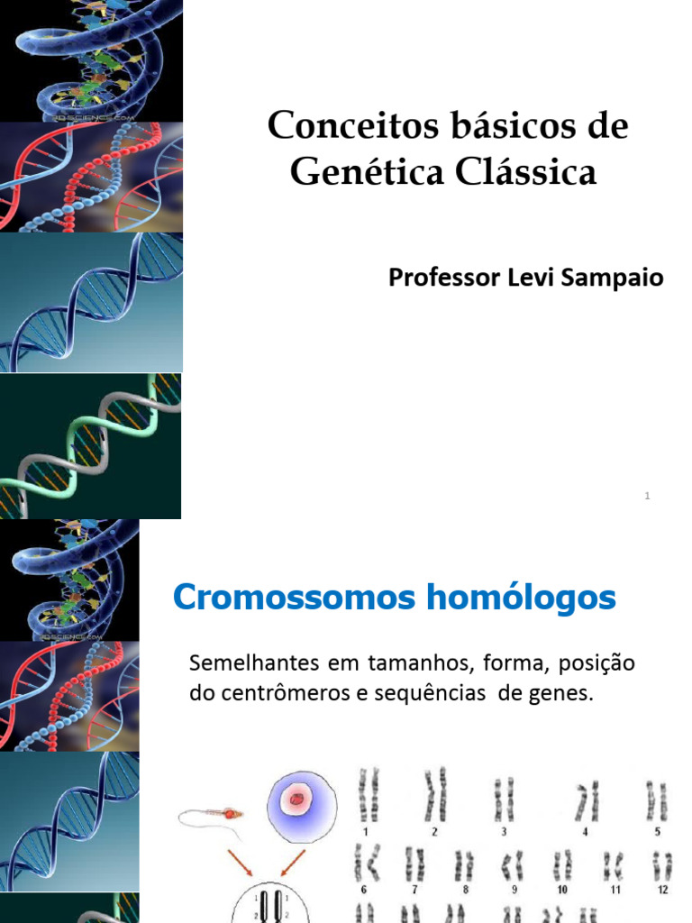 Conceitos Básicos de Genética Clássica | PDF | Genótipo | Alelo