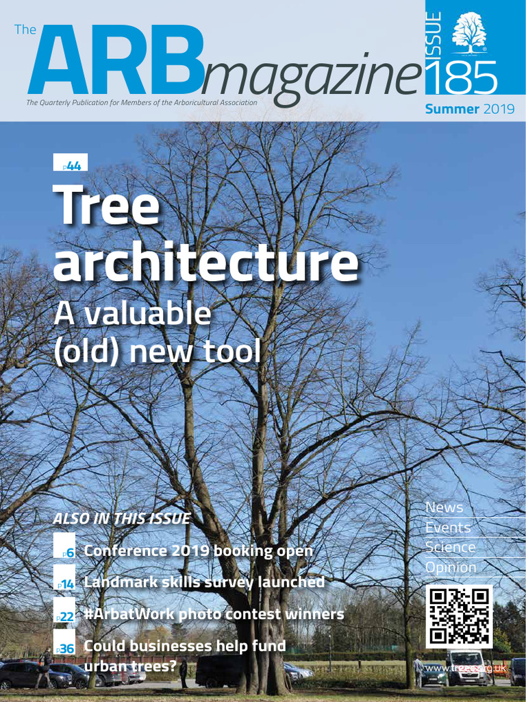Tree Architecture - A Valuable New Tool To Inform (Veteran) Tree ...