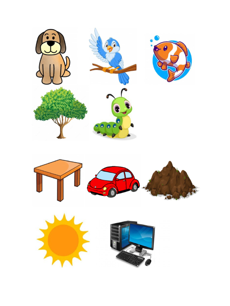 seres vivos y no vivos | PDF