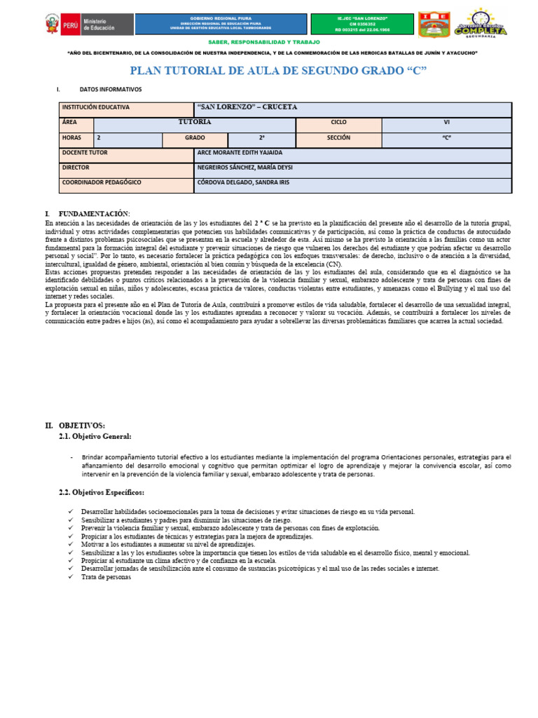 Plan Tutorial de Aula 2024 Segundoc | PDF | Violencia doméstica | Las emociones