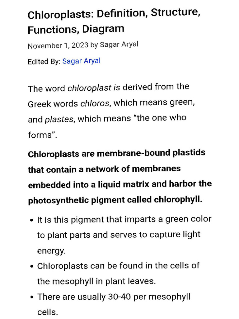 Chloroplast Structure and Function | PDF