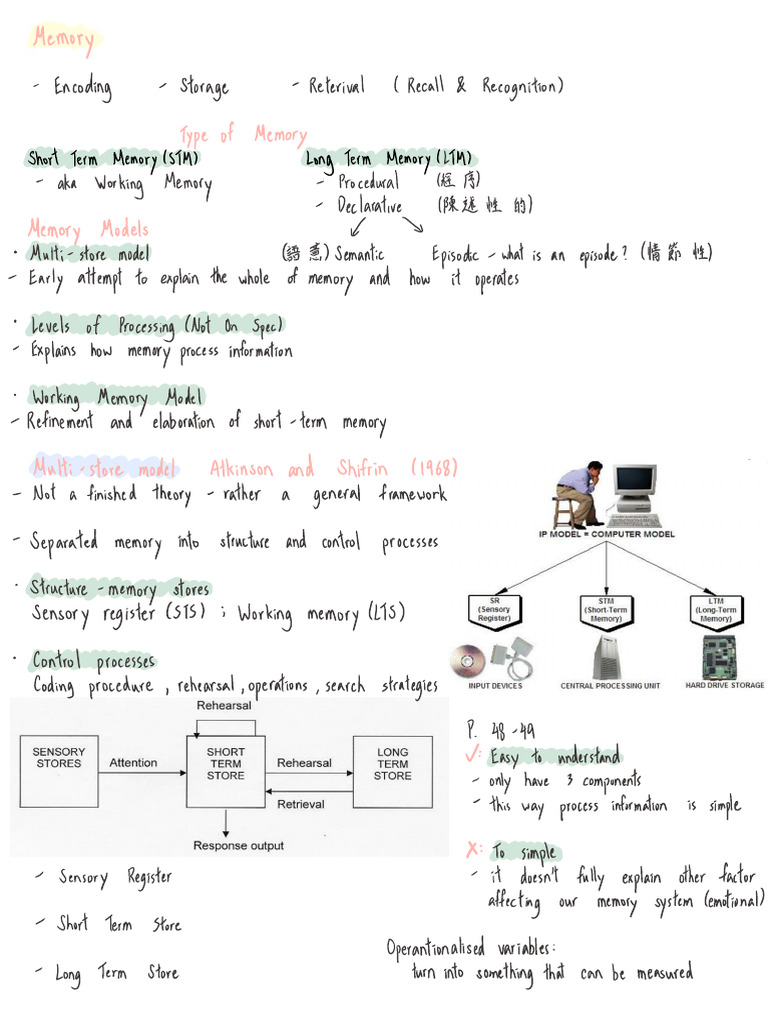 Psychology 2 | PDF