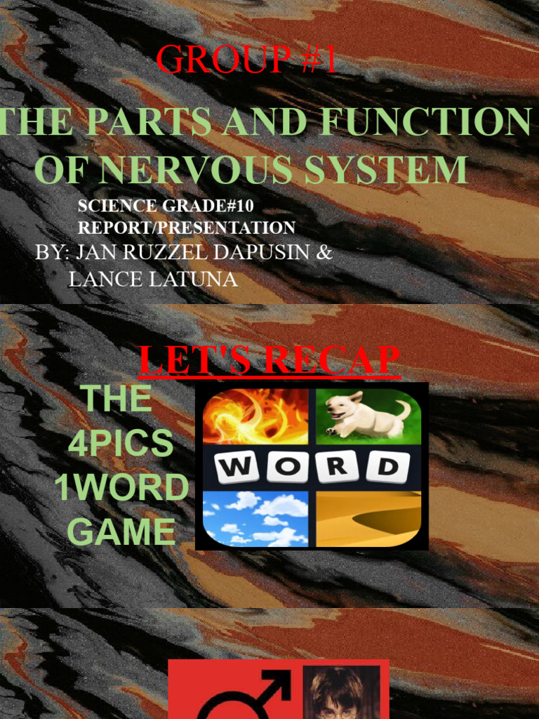 1 - Nervous System | PDF