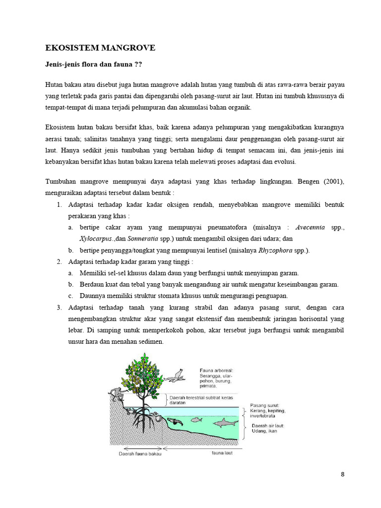 4 Mangrove | PDF | Ilmu Sosial | Griya & Taman