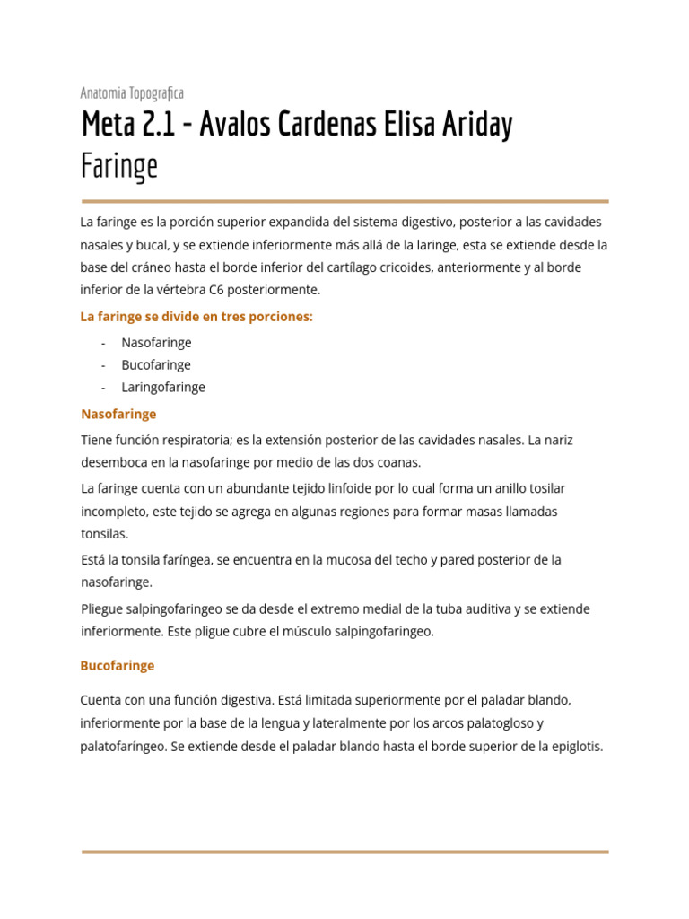 Meta 2.1 - AvalosElisa | PDF | Laringe | Anatomía humana