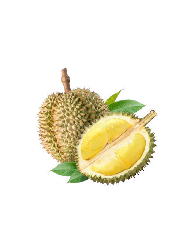 Anggur Removebg Preview 4 | PDF