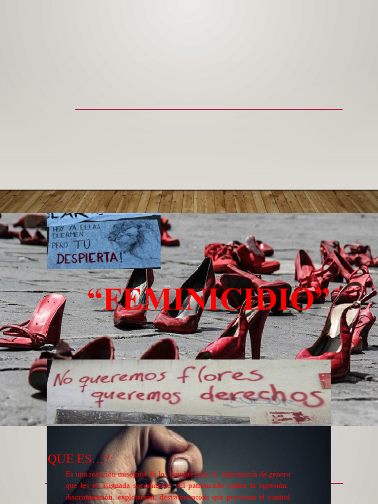 Tipos y Definición de Feminicidio | PDF | Violación | La sexualidad humana