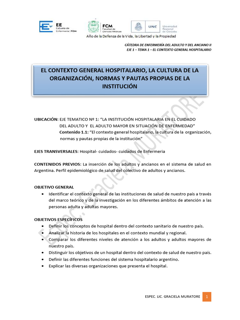 Eje 1 1.1 CONTEXT HOSPITAL | PDF