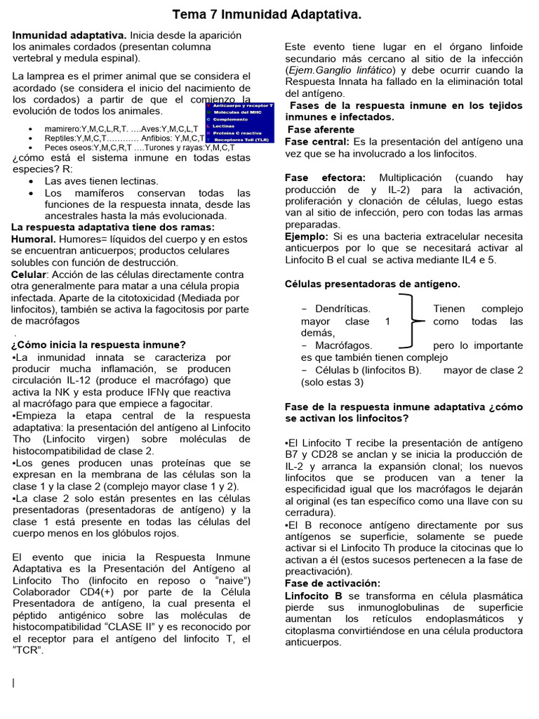 Inmunología - Tema 7 Inmunidad Adaptativa | PDF