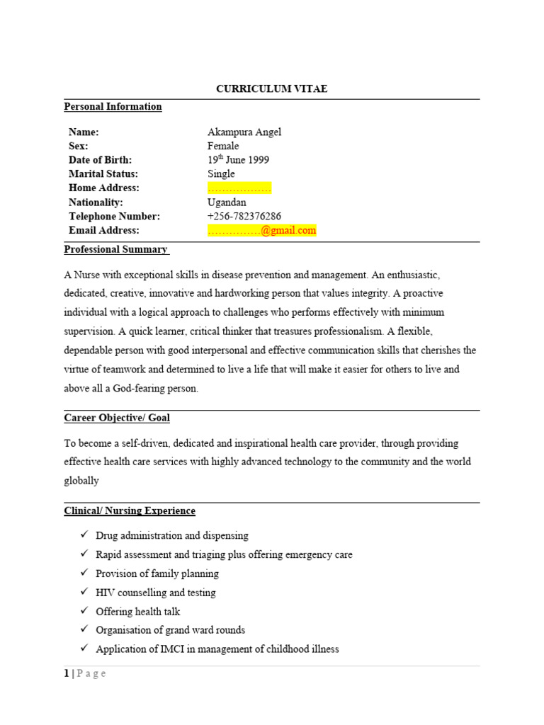 Angel's CV | PDF