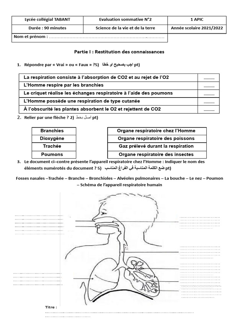 Controle 1 Apic 2 | PDF