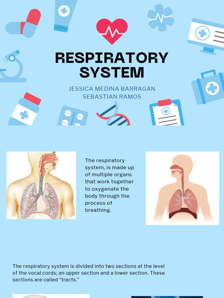Respiratory System | PDF