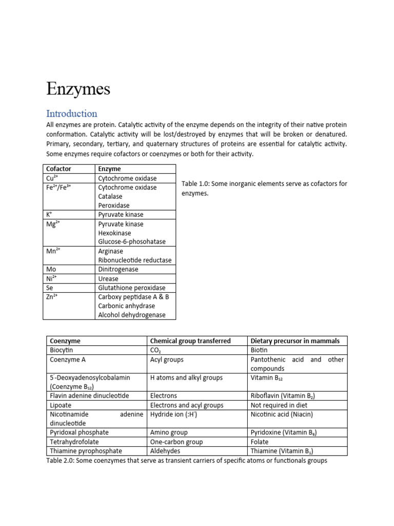 Enzymes | PDF | Active Site | Enzyme