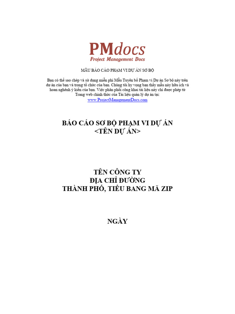 Preliminary Project Scope Statement - VN | PDF