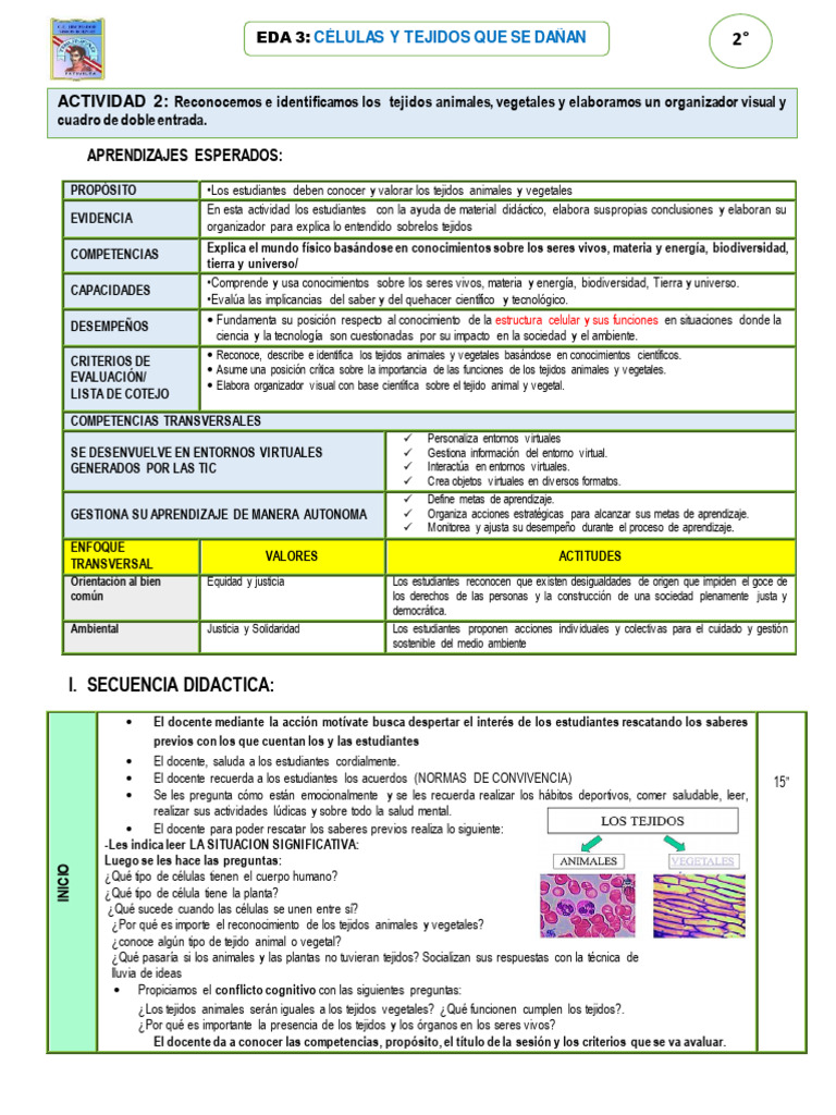 2° - EDA 3 - ACT. 02 - Los tejidos vegetales y animales | PDF | Aprendizaje | Maestros