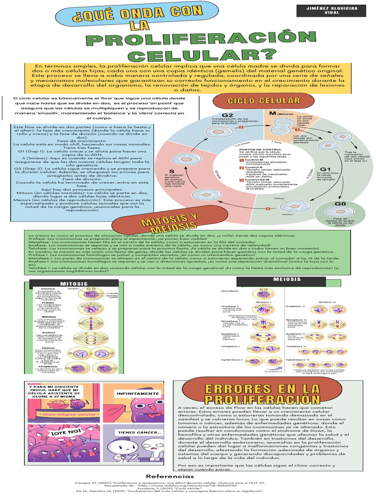 Infografía Proliferación | Descargar gratis PDF | Mitosis | Mitosis