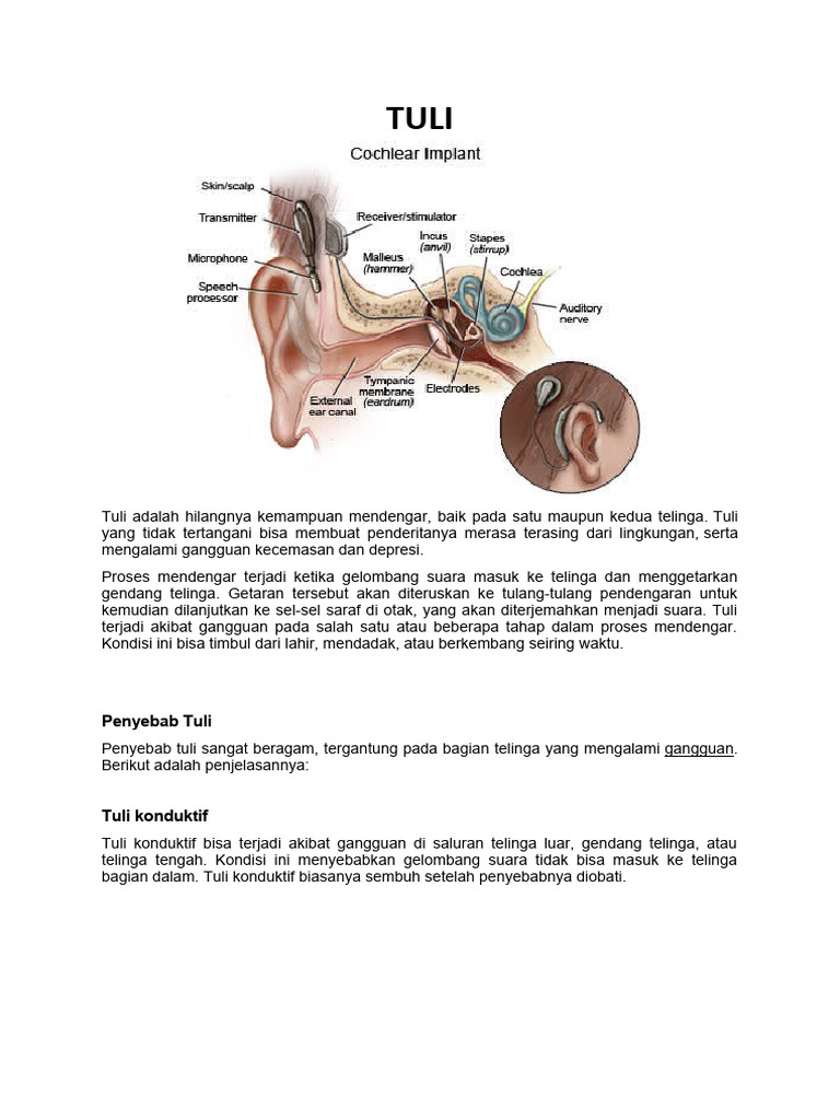 Penyebab dan Gejala Tuli serta Infeksi Telinga | PDF | Kajian Bahasa Asing | Sains & Matematika