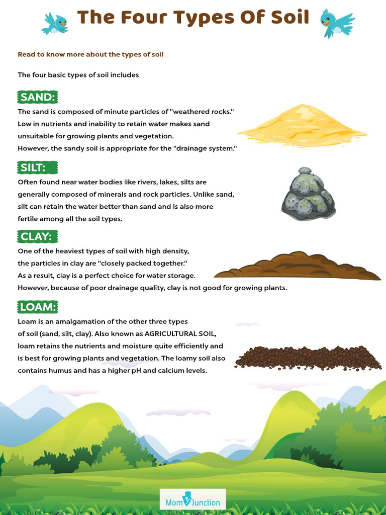 Different Types of Soil | PDF | Soil Science | Soil