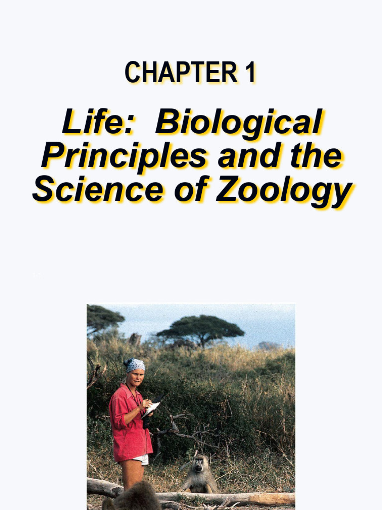 Chapt01_intro to Zoo.ppt | PDF | Zoology | Life