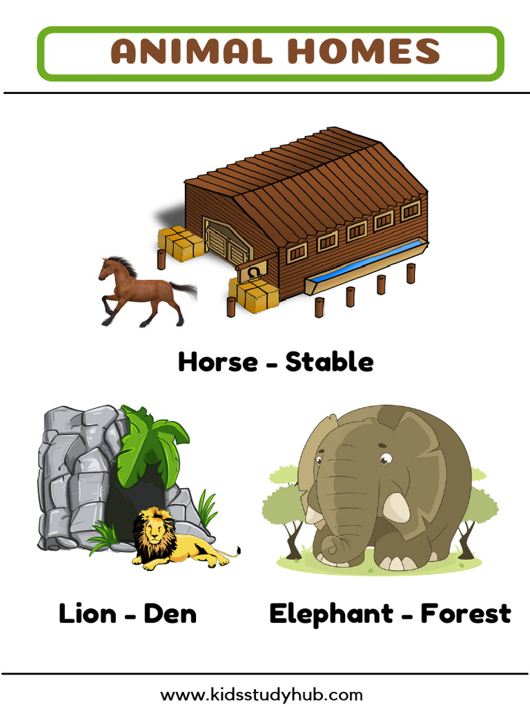 Animal Homes 5 | PDF