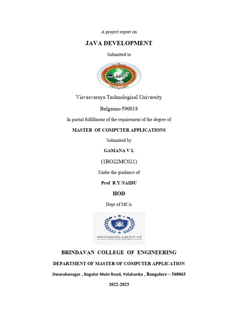 Internship (Synopsys) | PDF | Java (Programming Language) | Software