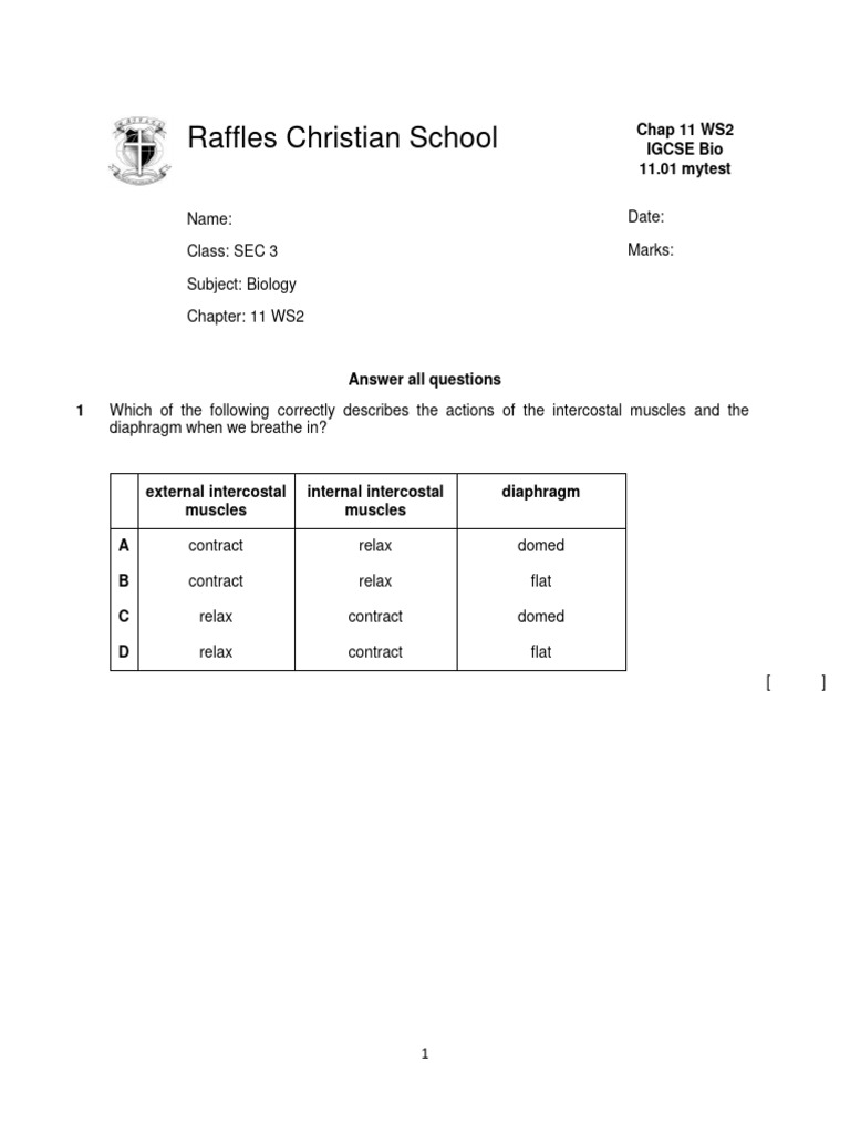Chap 11 WS2 IGCSE Bio 11.01 | PDF | Breathing | Lung