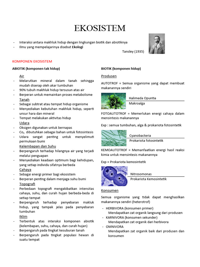 BIOLOGI - Ekosistem Kelas 11 SMA | PDF
