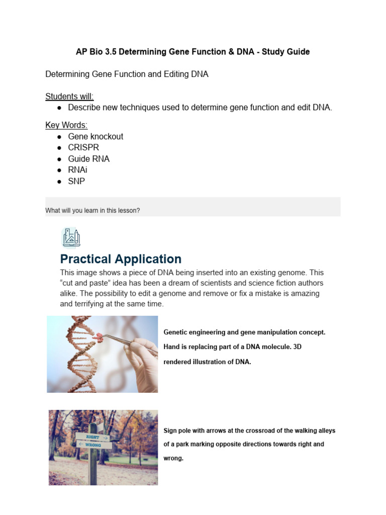 AP Bio 3.5 Study Guide - Determining Gene Function & DNA | PDF | Single Nucleotide Polymorphism ...
