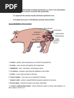 Reproductive Physiology and Anatomy of The Sow PDF | PDF | Luteinizing ...