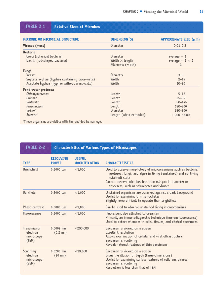 Table Chapter 2 | PDF | Bacteria | Microscope
