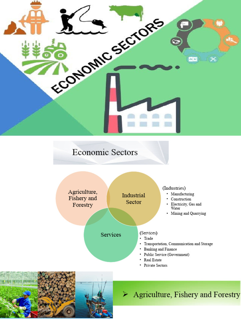 Socio-Economic Impact of Business Sectors | PDF | Taxes | Employment