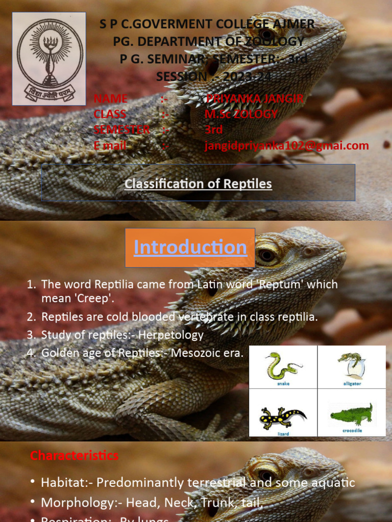 Pod Handler | PDF | Reptile | Zoology