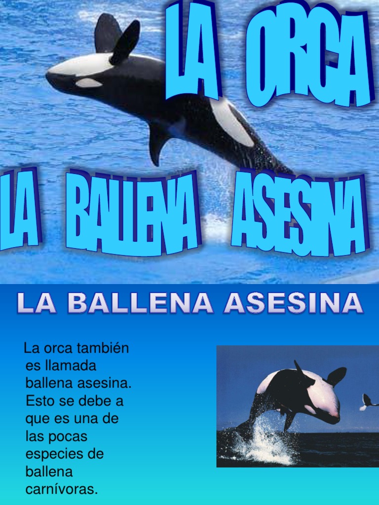 Orca | PDF | Hogar, jardinería y bricolaje