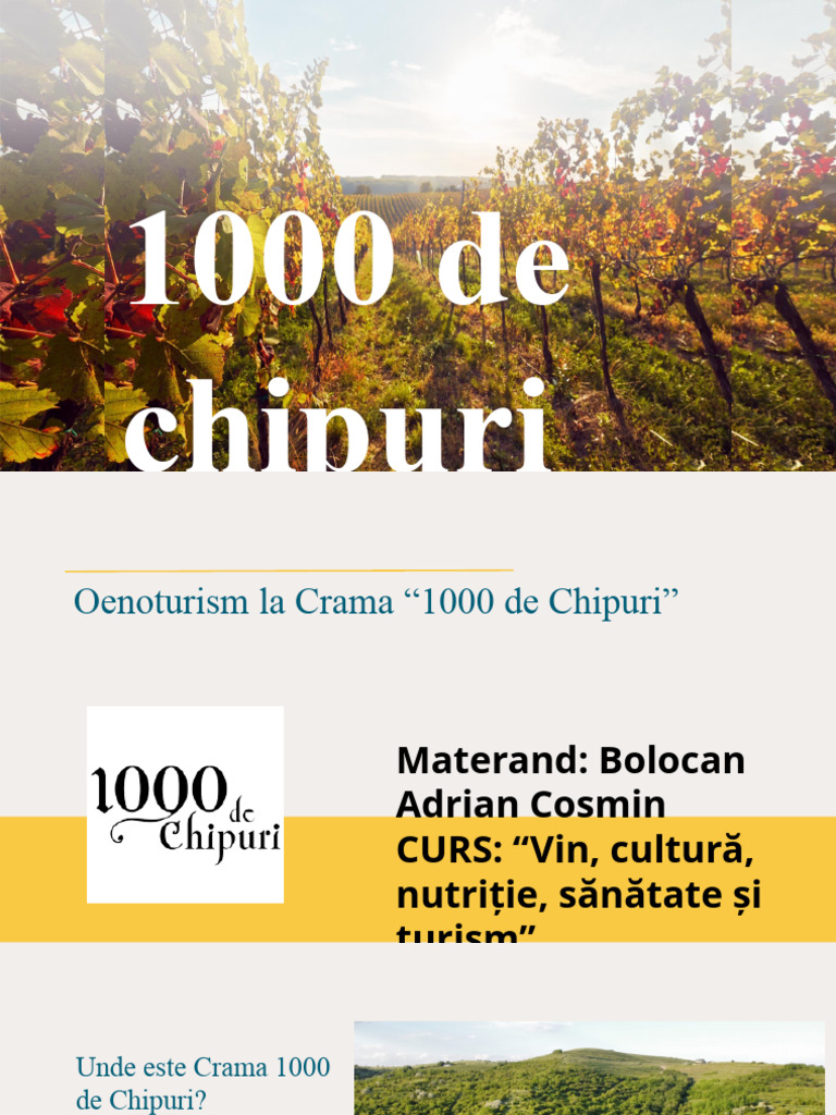 Bolocan Adrian Cosmin 1000dechipuri | PDF