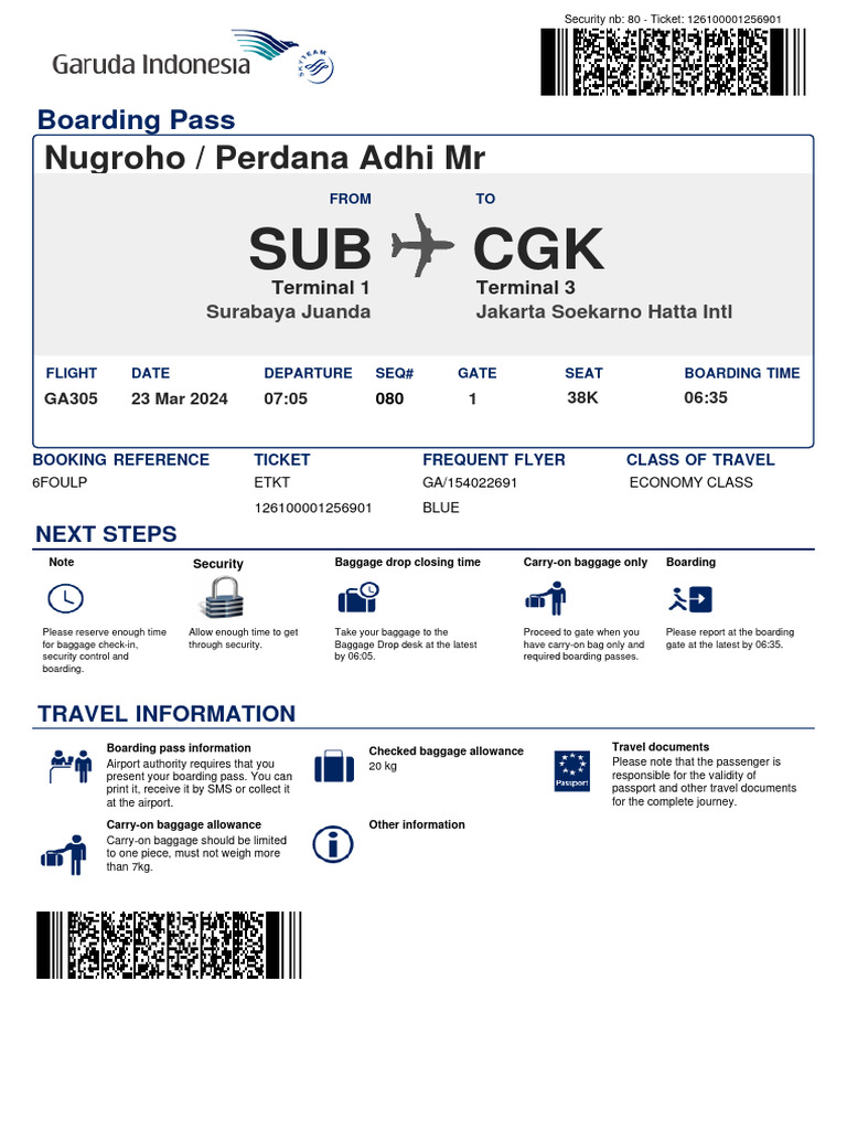 Database | PDF | Baggage | Transport