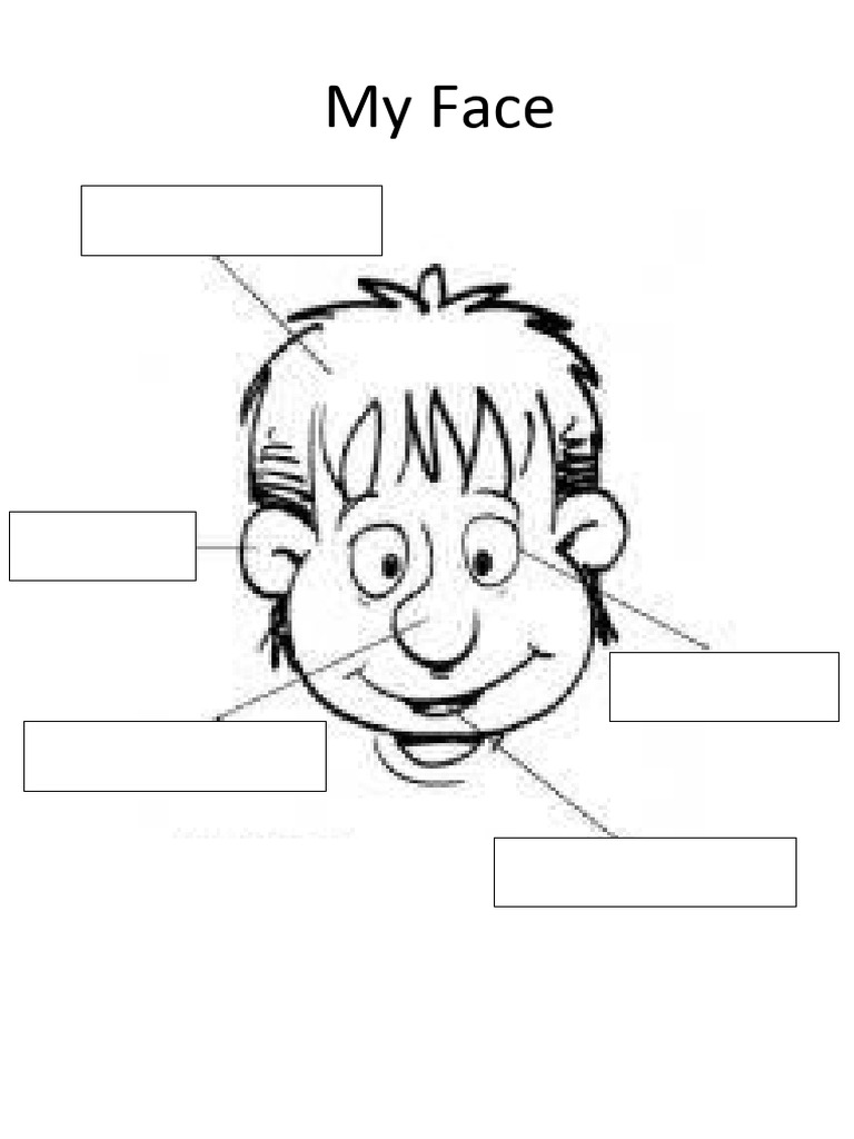 My Face Label Worksheet | PDF