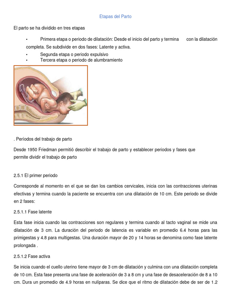 Etapas Del Parto | PDF | Parto | Placenta