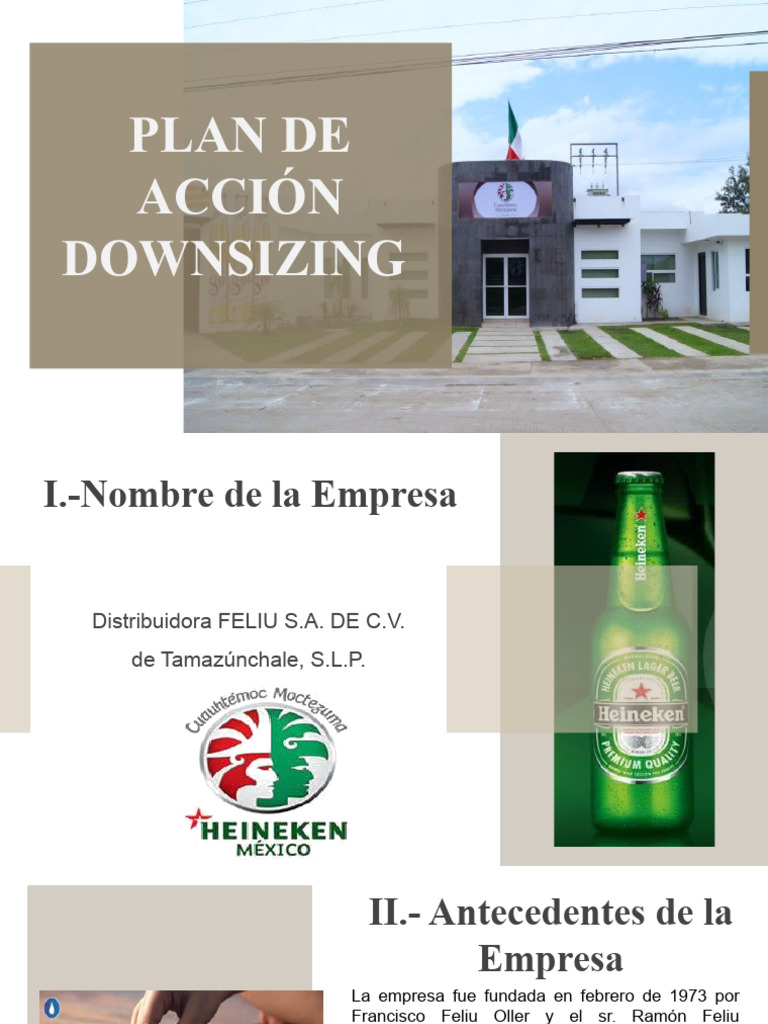 Plan de Acción para Downsizing | PDF | Business | Economias