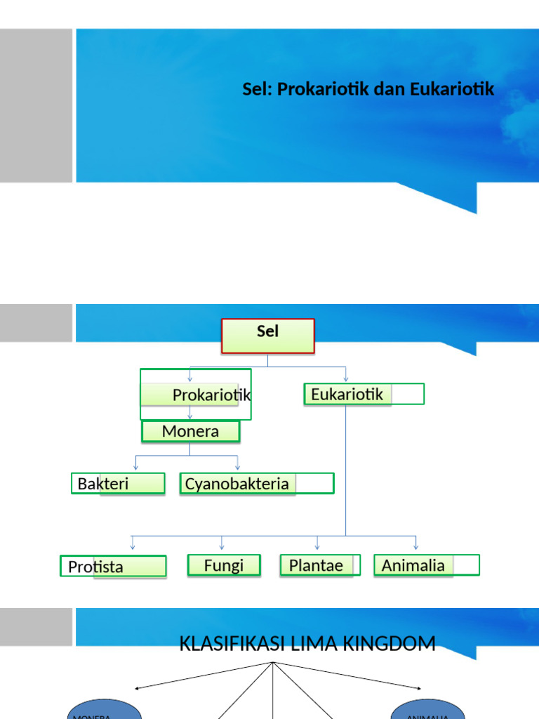 Sel Prokariot Dan Eukariot | PDF