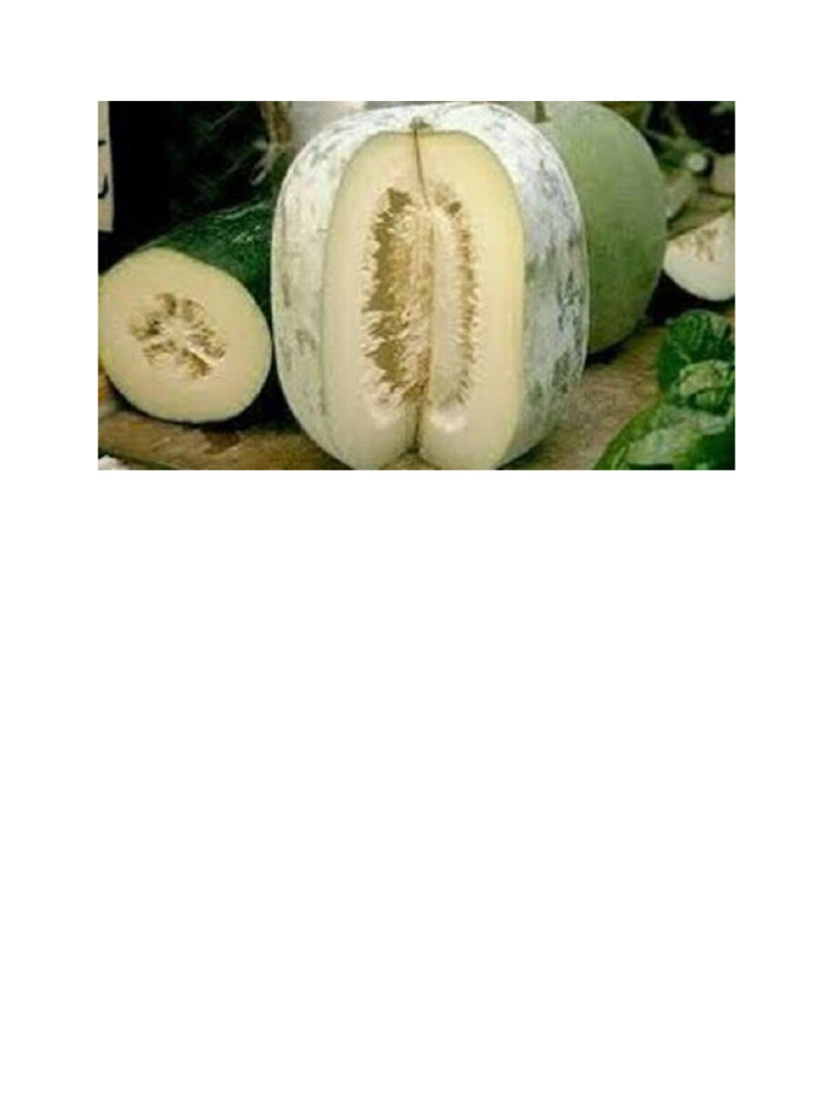 Buah Kundur | PDF