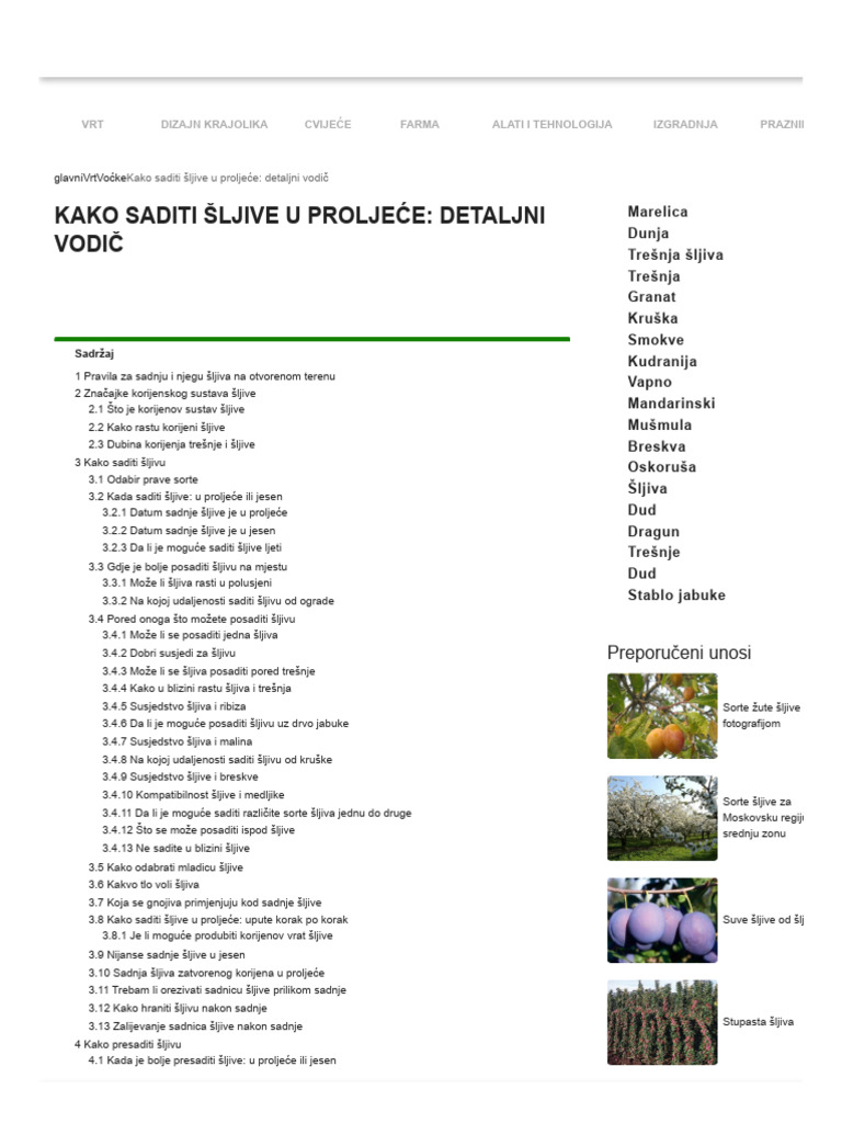 Sadnja Šljiva U Proljeće I Jesen Sadnicama Na Otvoreno Tlo, Briga I Uzgoj, Presađivanje Na Novo ...
