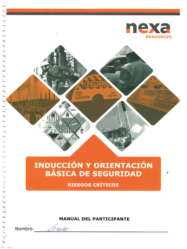 Inducción y Orientación Básica de Seguridad NEXA | PDF